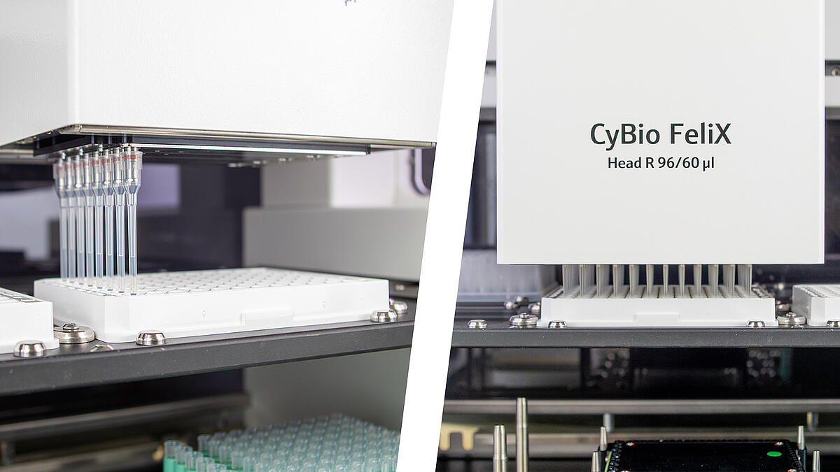 Automated Protein Quantification - Analytik Jena